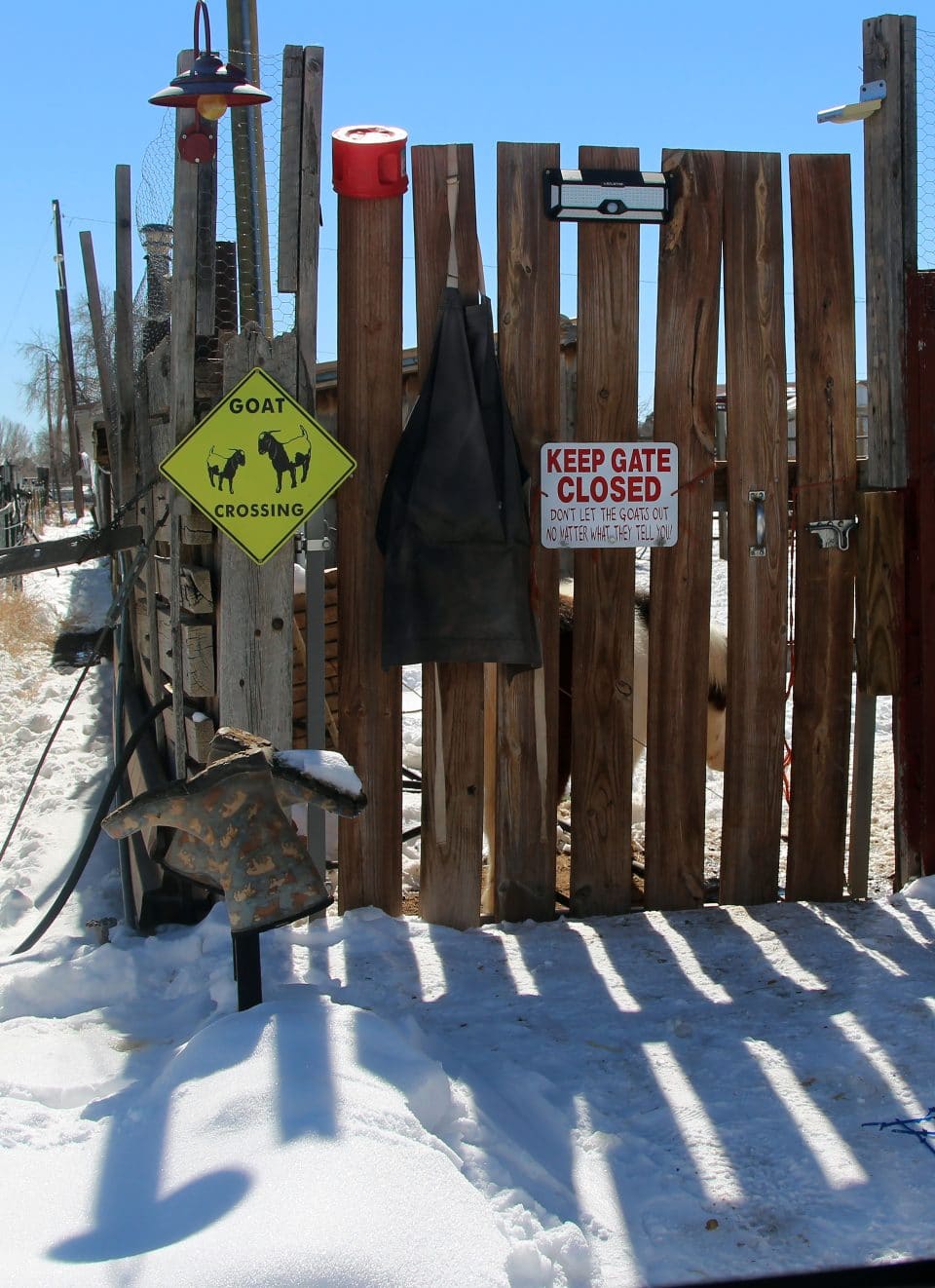 Scenes From Winter Day At North Mesa Stables